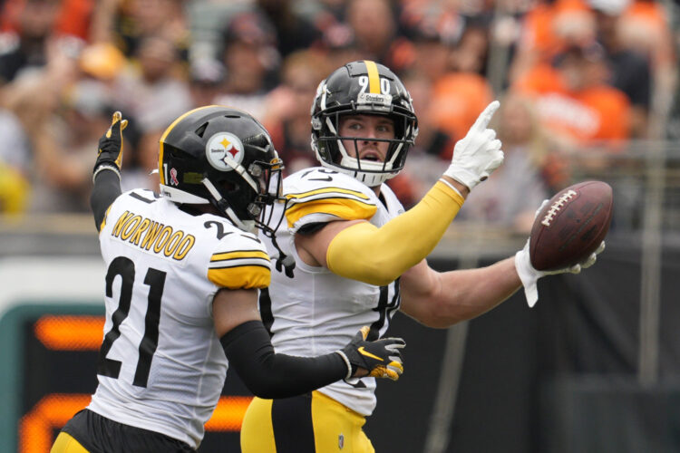 Steelers’ win comes with high cost | News, Sports, Jobs - The Vindicator